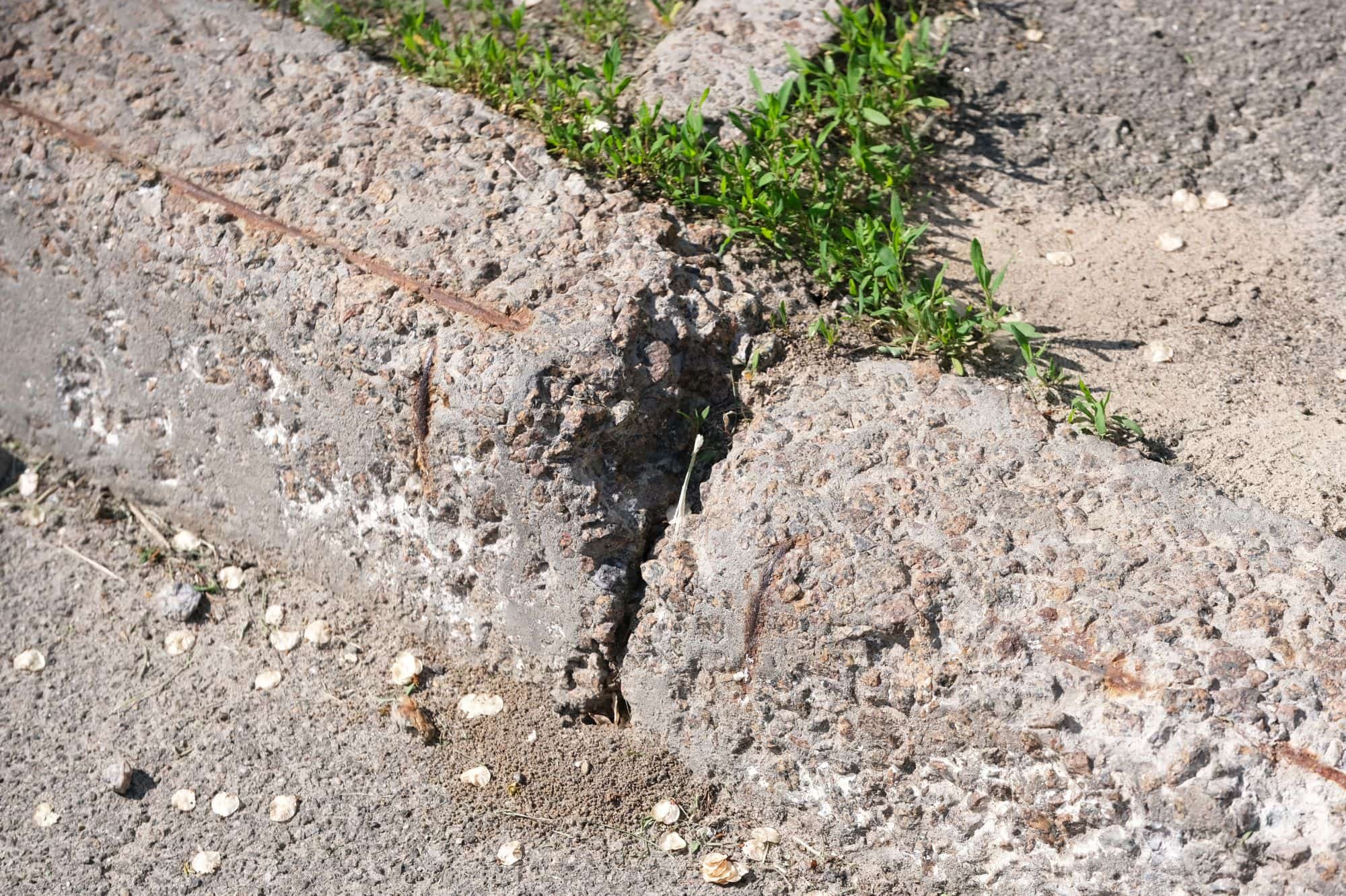 Concrete Curb Repair in Cedar Park TX | #1 Concrete Contractors